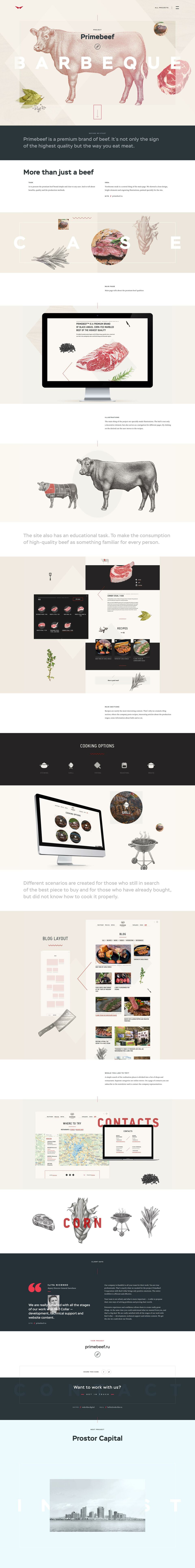 Red Collar — SOTD: 17.02.17 | Best Website Gallery